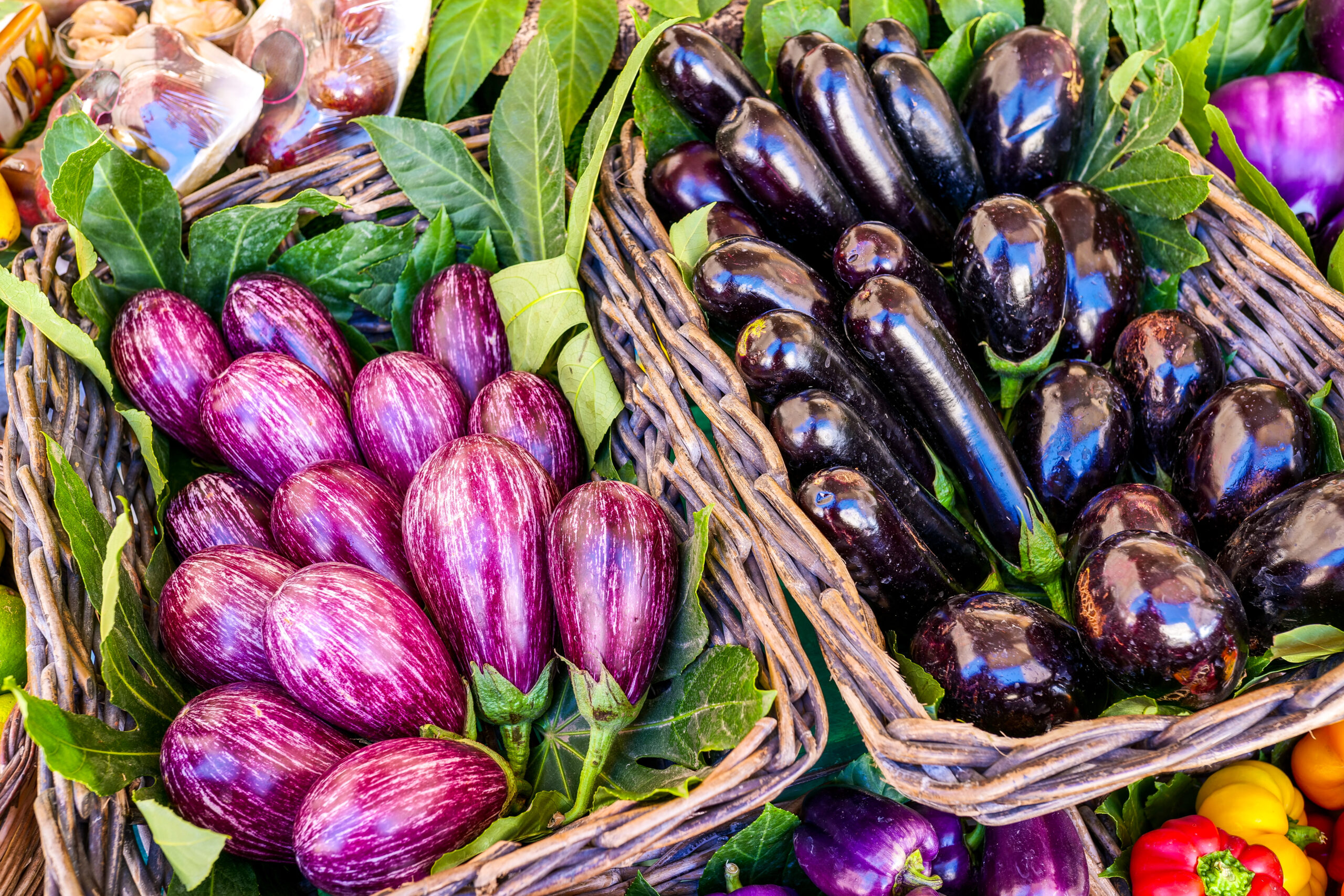 Improving Lives - Feed the Future Insect-Resistant Eggplant Partnership