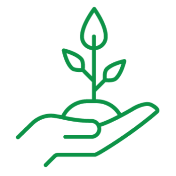 About - Feed the Future Insect-Resistant Eggplant Partnership