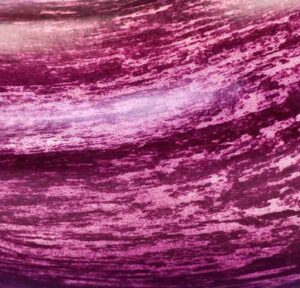 Bt Eggplant - Insect-Resistant Eggplant Partnership