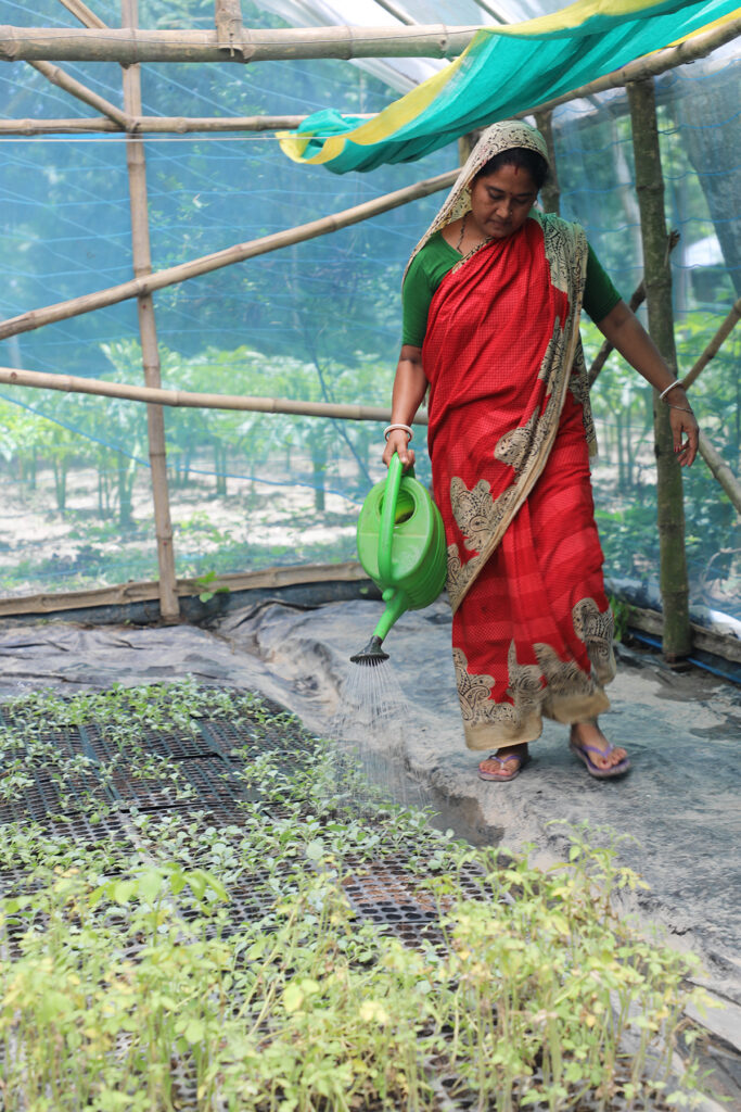 Ratna Biswas - Feed the Future Insect-Resistant Eggplant Partnership