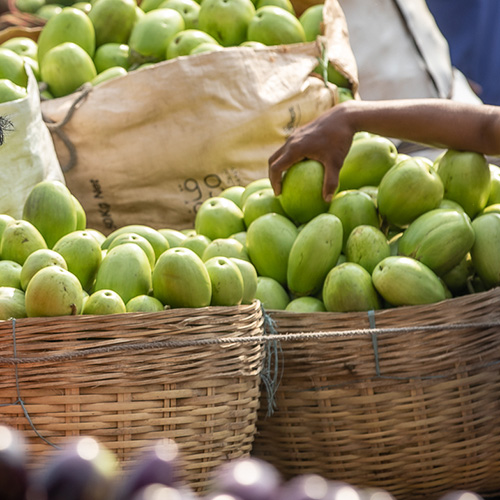 Empowering Bangladesh's Farmers: Groundbreaking Partnership to Boost ...