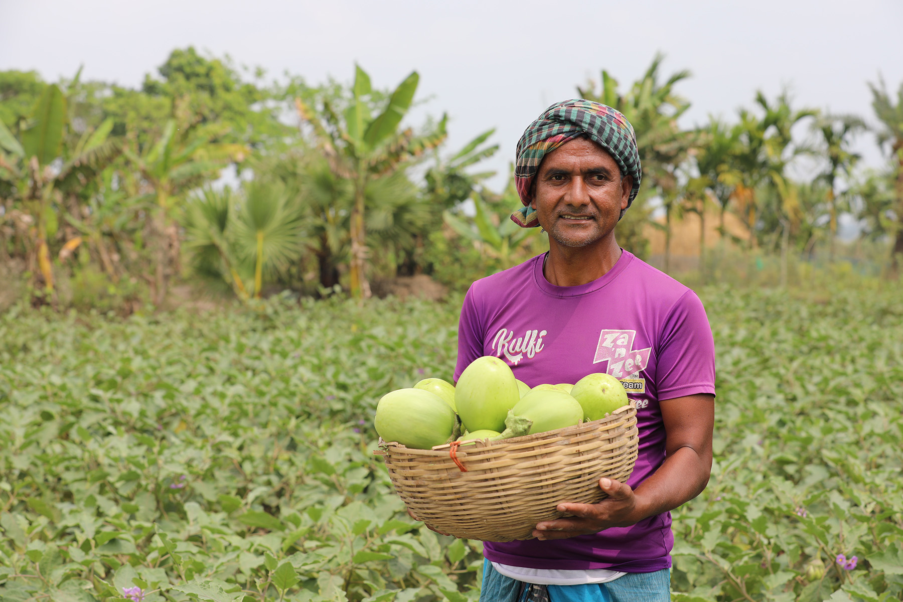 Akhteruzzaman Amirul - Feed the Future Insect-Resistant Eggplant ...